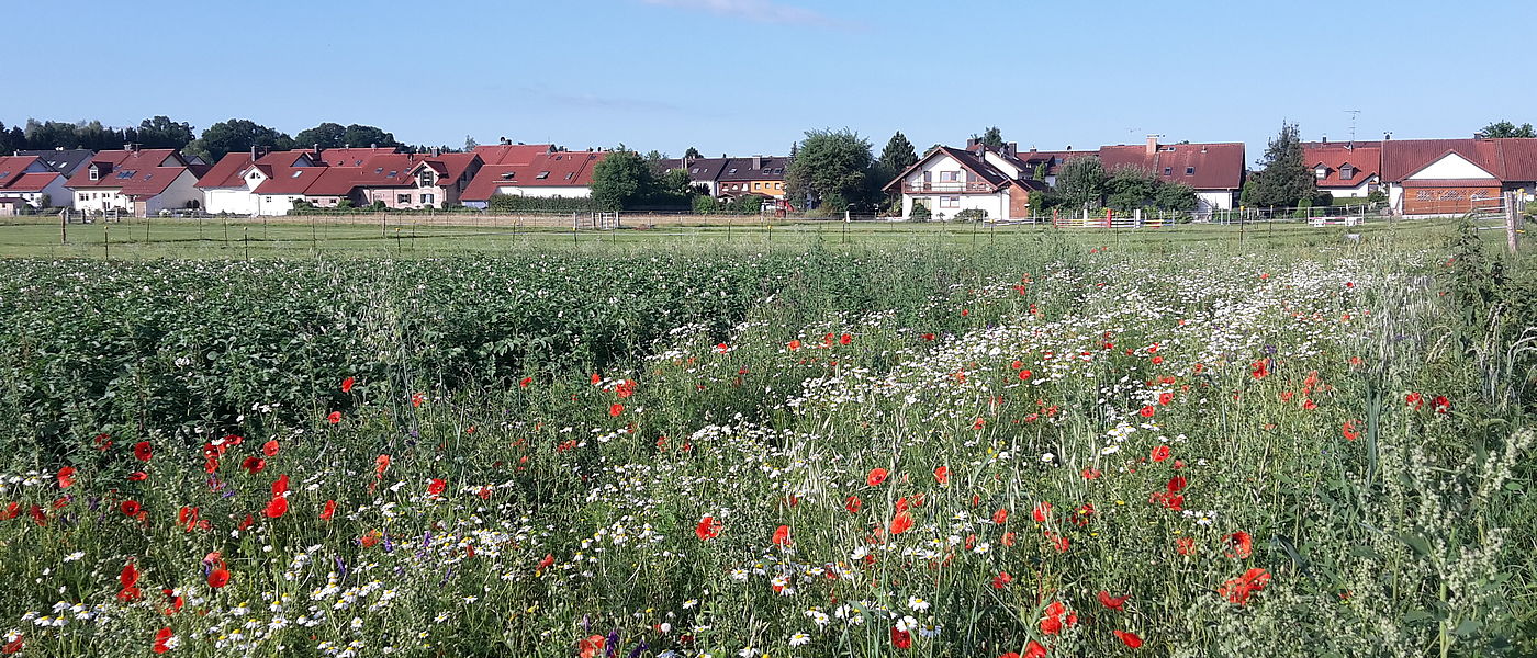 Startseite – Gemeinde Alling